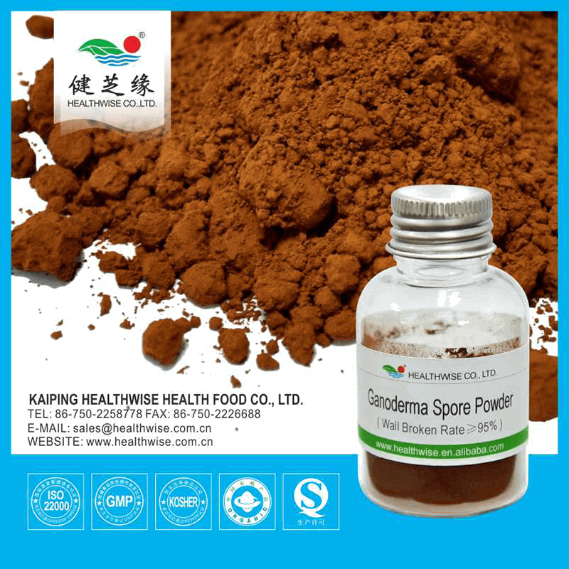 Ganoderma Reishi Spore Powder: sfextract